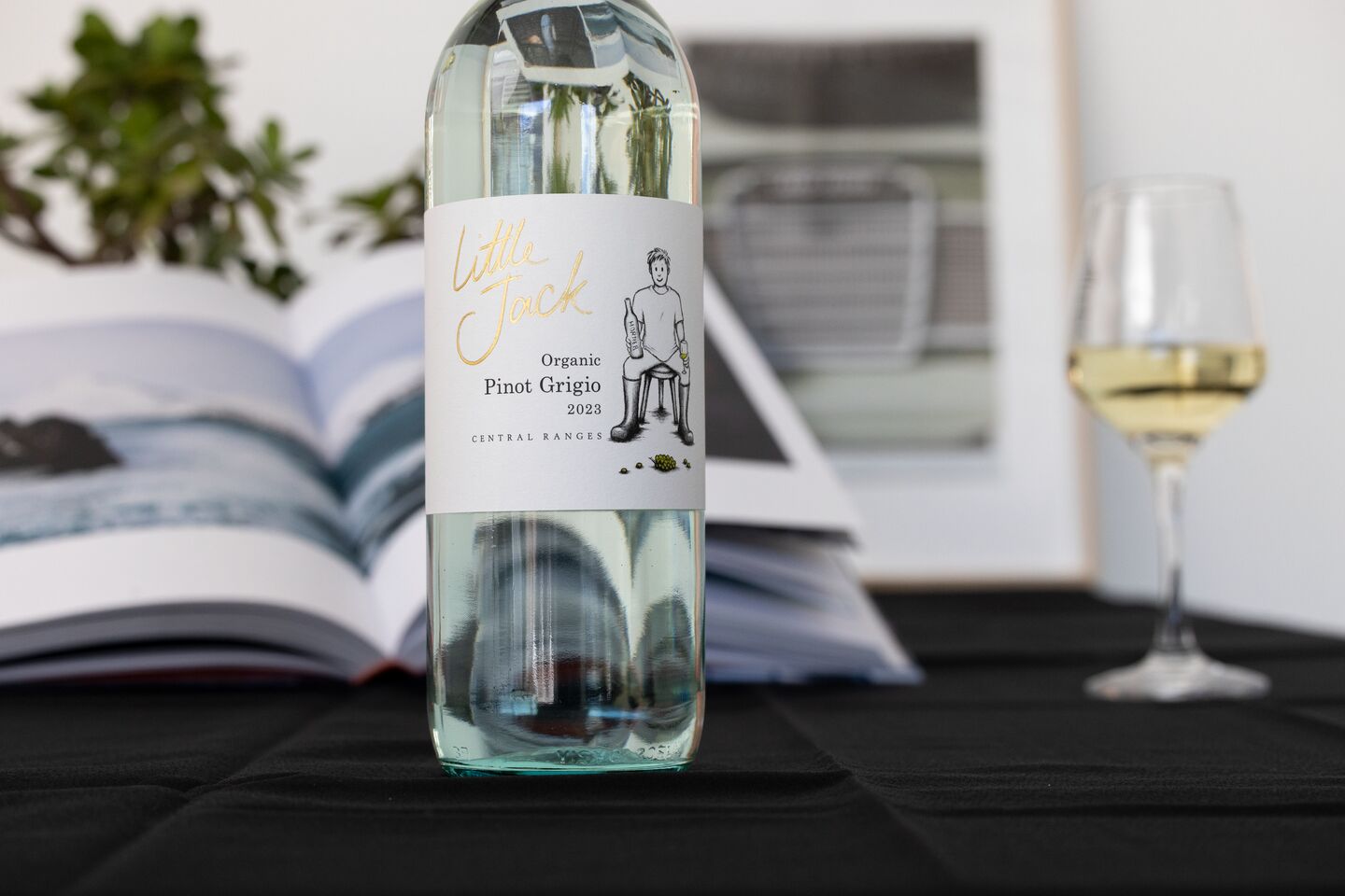 Ashley Horner Little Jack Organic Central Ranges Pinot Grigio 2023 ...