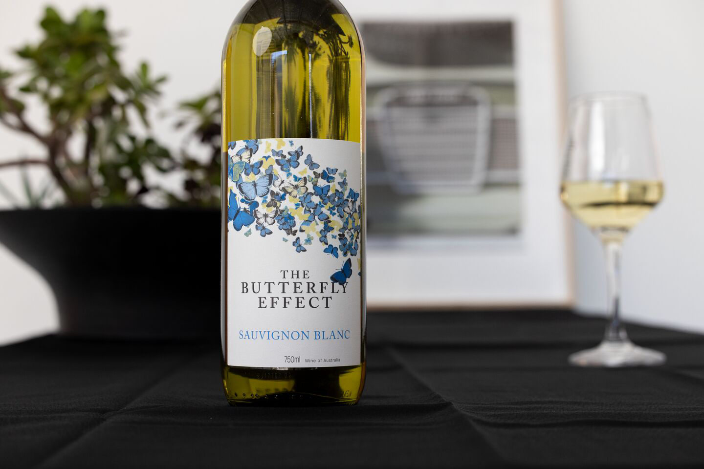 Sam Plunkett The Butterfly Effect Sauvignon Blanc 2024 | Naked Wines